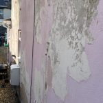 Damp and Timber Services | Bramley & Stone